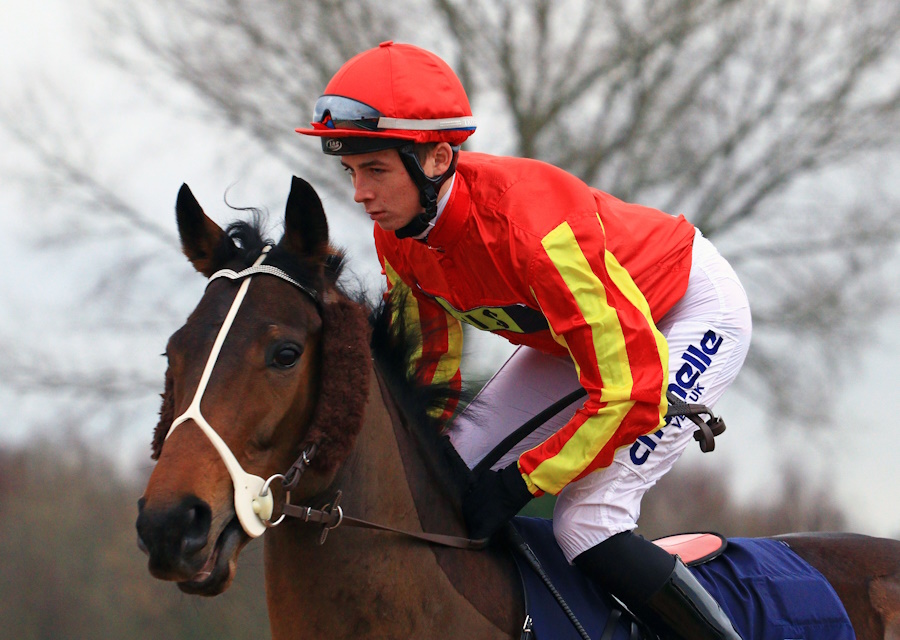 Racehorse Shares For Sale - Amazing Racing Syndicates