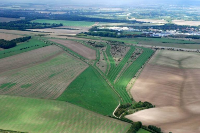 Jack Channon | Amazing Racing Syndicates